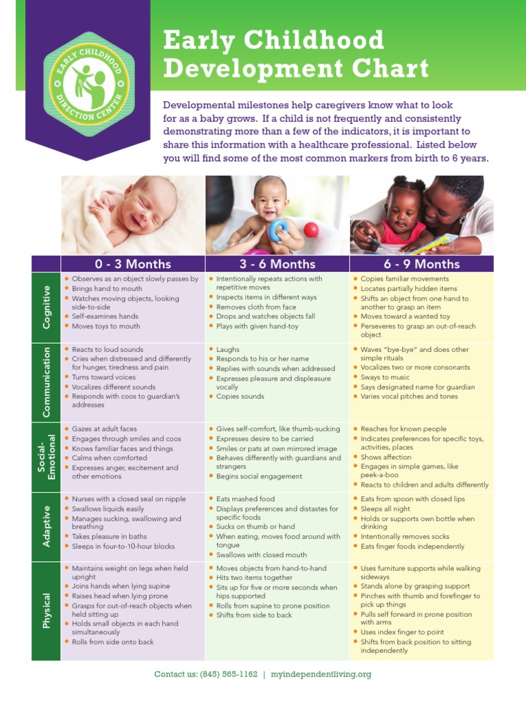 IL Early Dev Chart Web | PDF | Child Development | Relationships