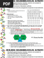 Building Macromolecules Activity - Student Handout - Updated 2020 | PDF ...