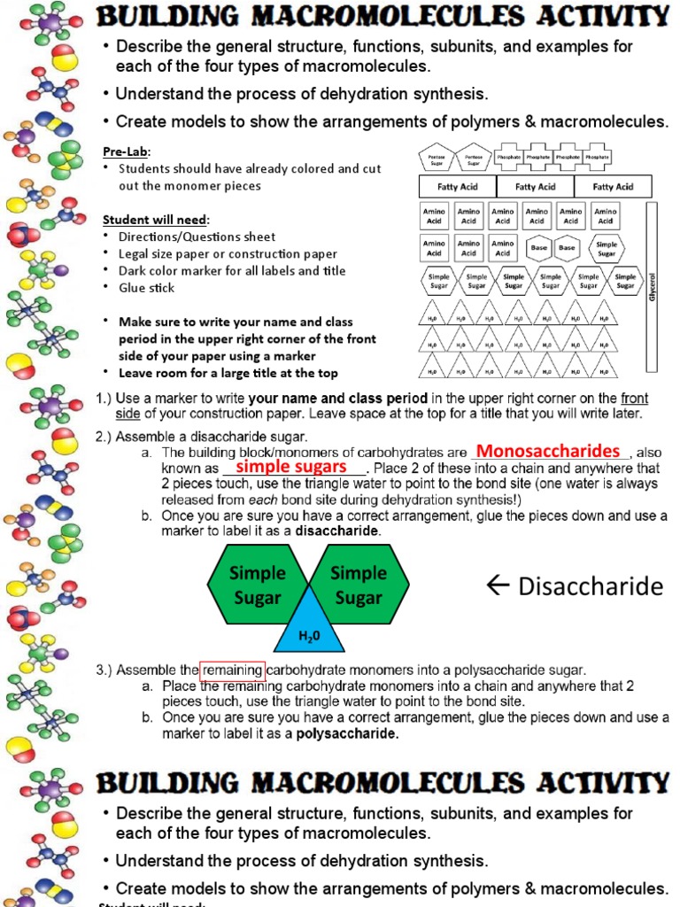 Building Macromolecules Activity - PPT - Basic Directions To Get ...