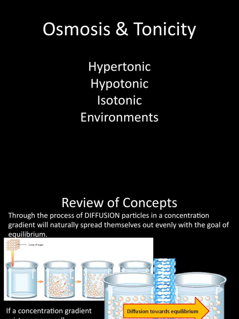 Osmosis & Tonicity: Hypertonic Hypotonic Isotonic Environments | PDF ...