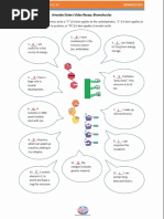 Building Macromolecules Activity - Student Handout - Updated 2020 | PDF ...