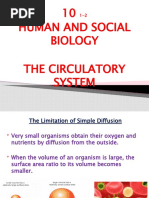 Blood and Circulation, iGCSE Biology | PDF | Circulatory System ...