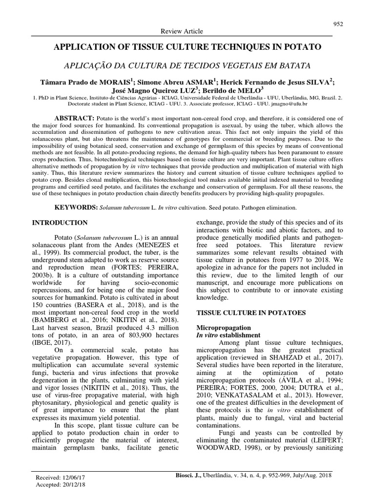Application of Tissue Culture Techniques in Potato | PDF | Potato | Seed