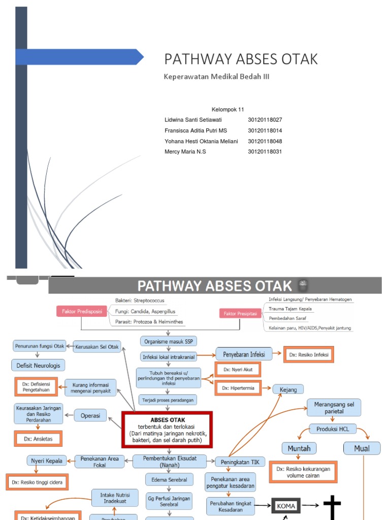 Pathway Abses Otak | PDF