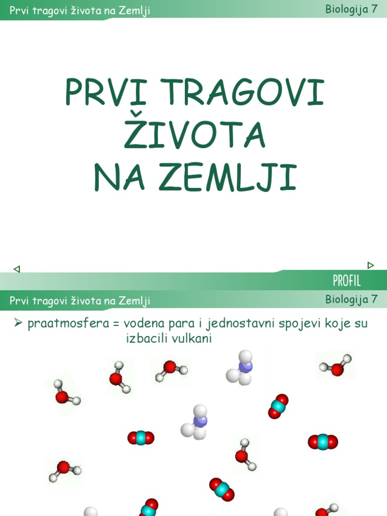 02 Prvi Tragovi Zivota Na Zemlji | PDF