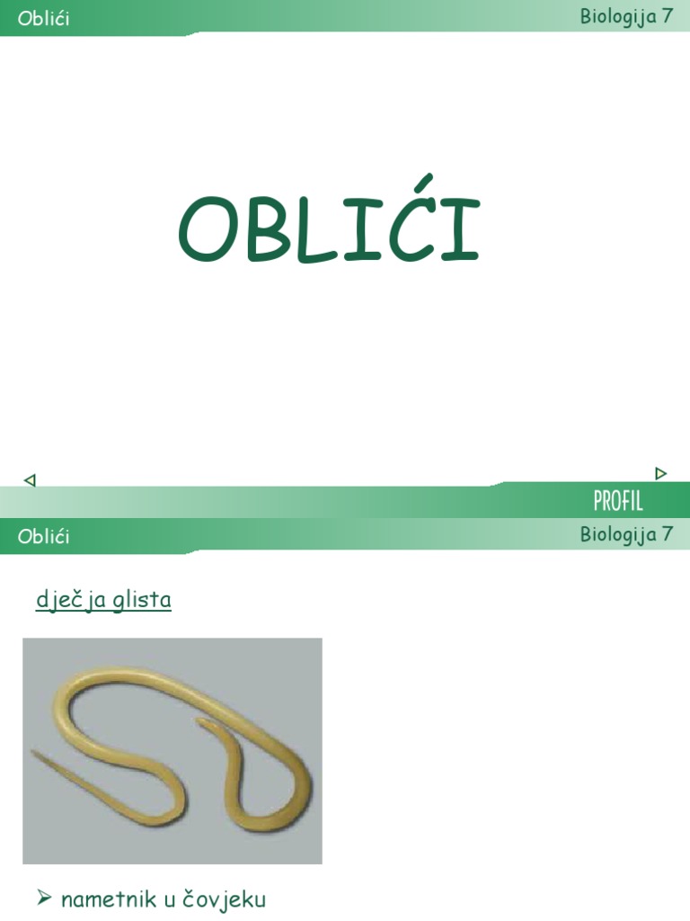 15 Oblici | PDF
