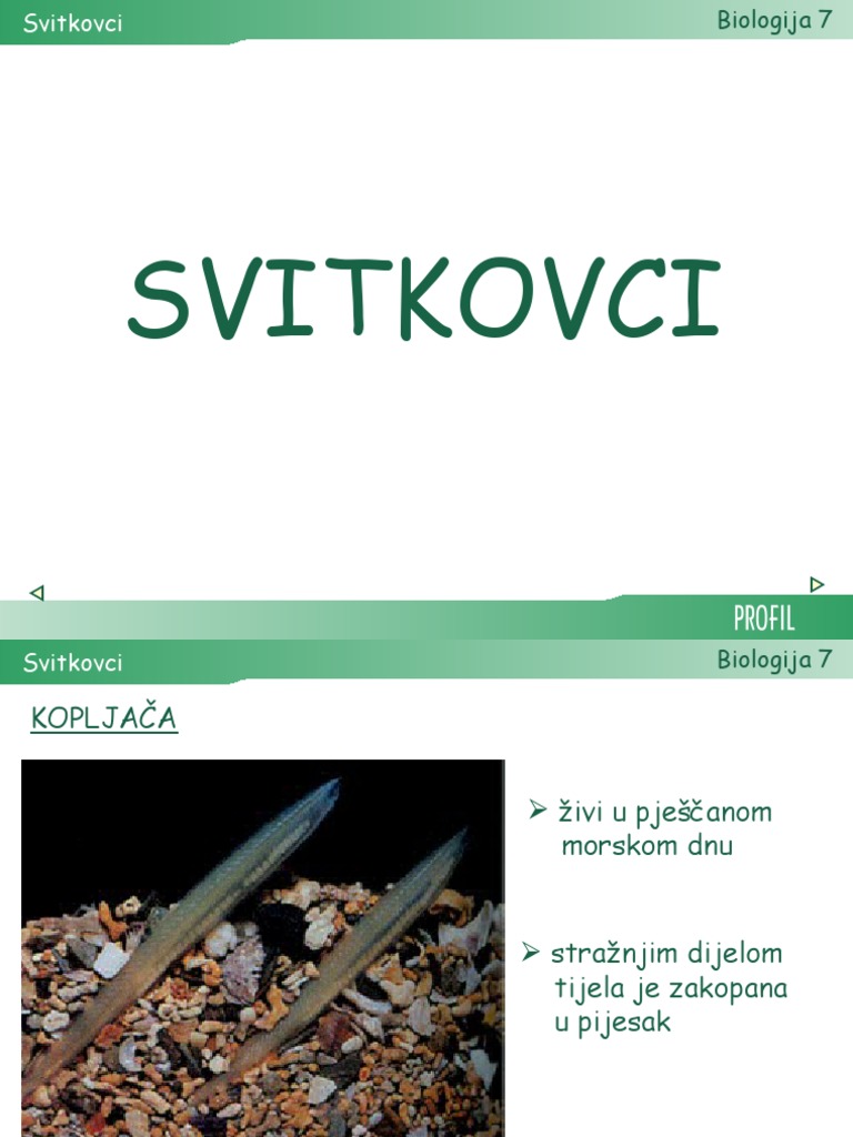 22 Svitkovci | PDF