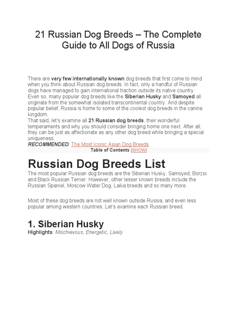 21 Russian Dog Breeds - The Complete Guide To All Dogs of Russia | PDF ...
