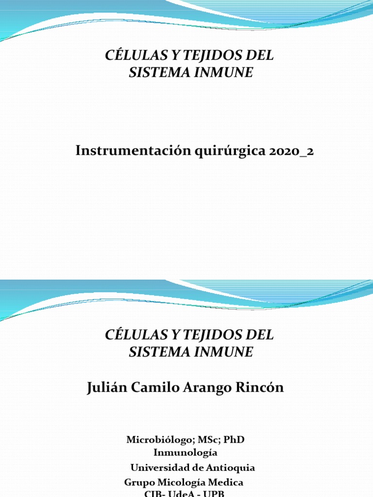 Celulas y Tejidos Del Sistema Inmune 2020 | PDF | Linfocitos | Célula dendrítica