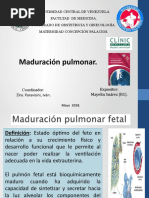 Antimoniato de Meglumina: Dosis y Uso | PDF | Medicamentos con receta ...
