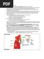 Bhalani | PDF | Human Leg | Breathing