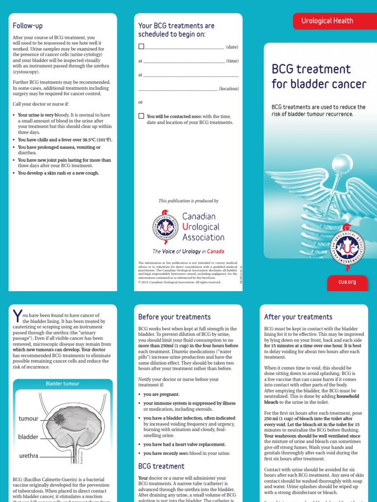 18e-Bcg Treatment S | PDF | Urinary Bladder | Urine
