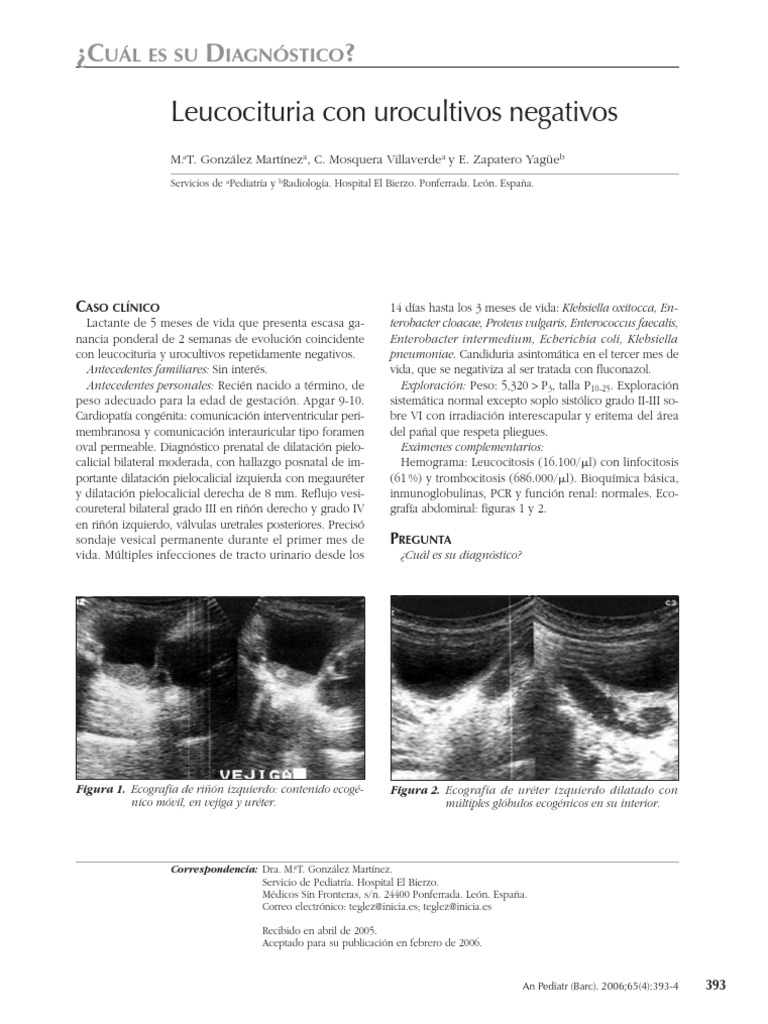 Leucocituria Con Urocultivos Negativos | PDF | Infección del tracto ...