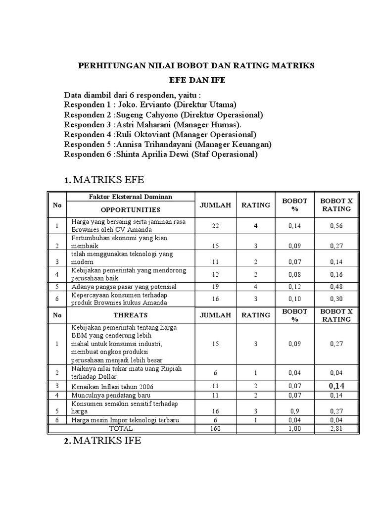 Analisis Matriks IFE dan EFE | PDF