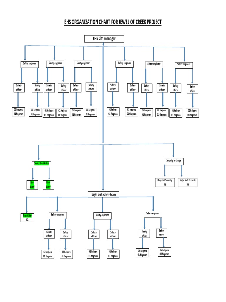 Ehs Organization Chart | PDF | Transport Safety | Land Transport