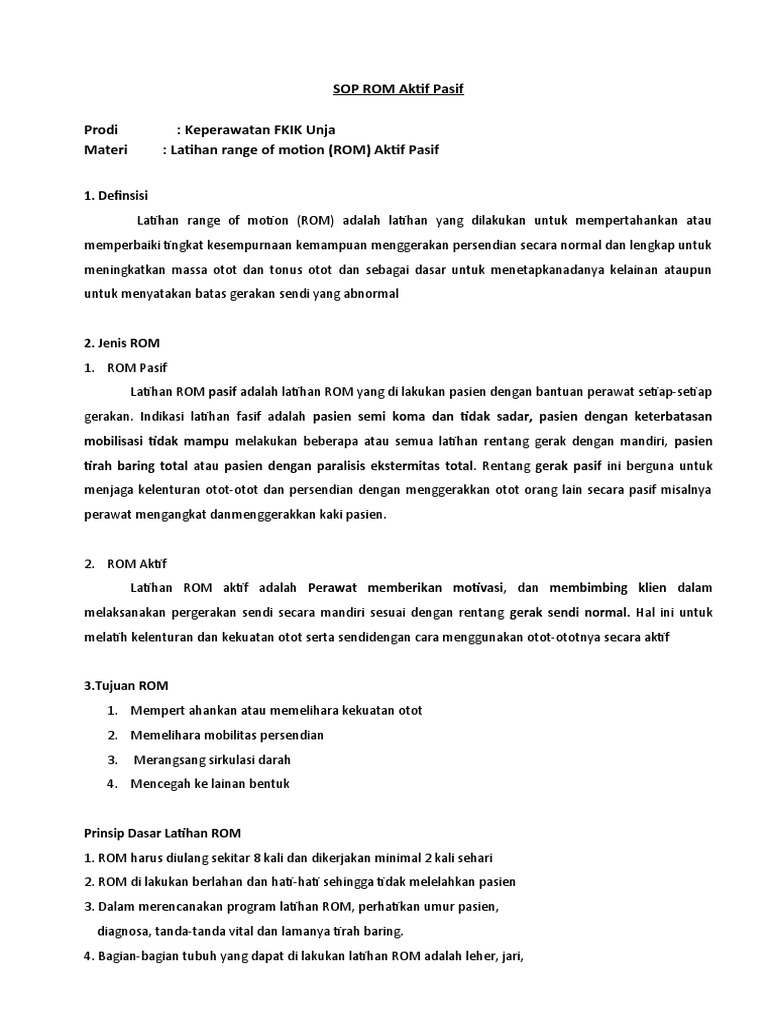 ROM Aktif Pasif | PDF