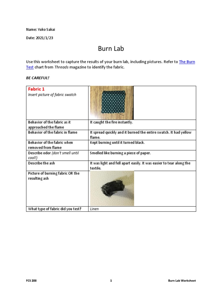 w03 Burn-Lab-Worksheet | PDF