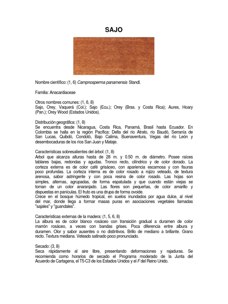 Características y Usos de la Madera Sajo | PDF | Morfología Vegetal ...