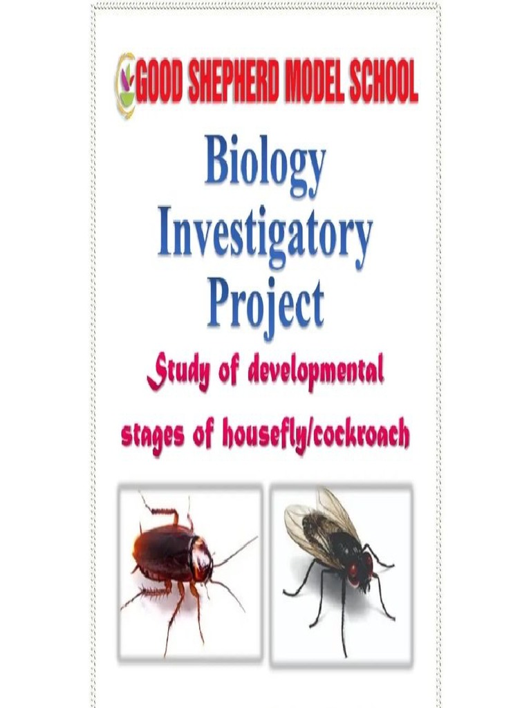 Biology Project | PDF