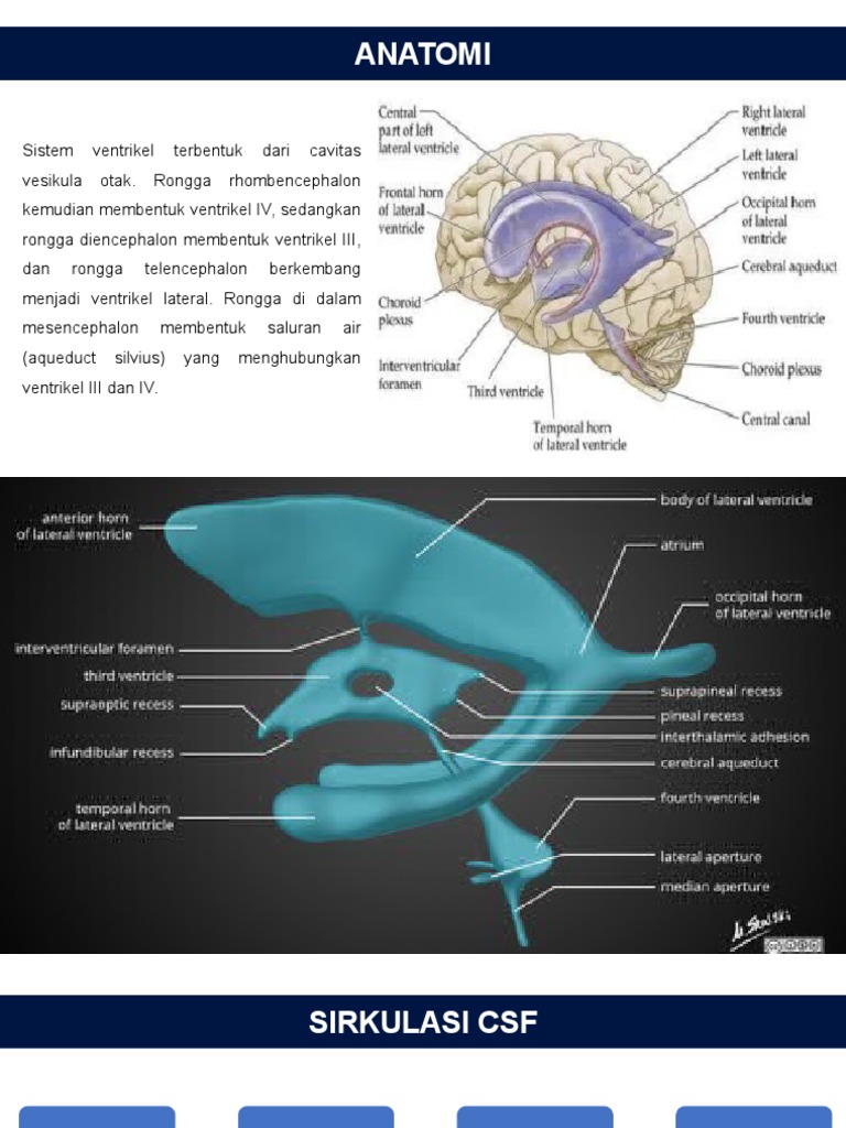 Extraventricular Drainage | PDF