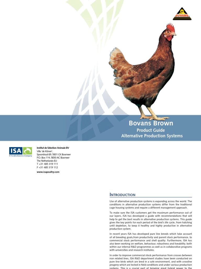 Bovans Brown: Product Guide Alternative Production Systems | PDF ...