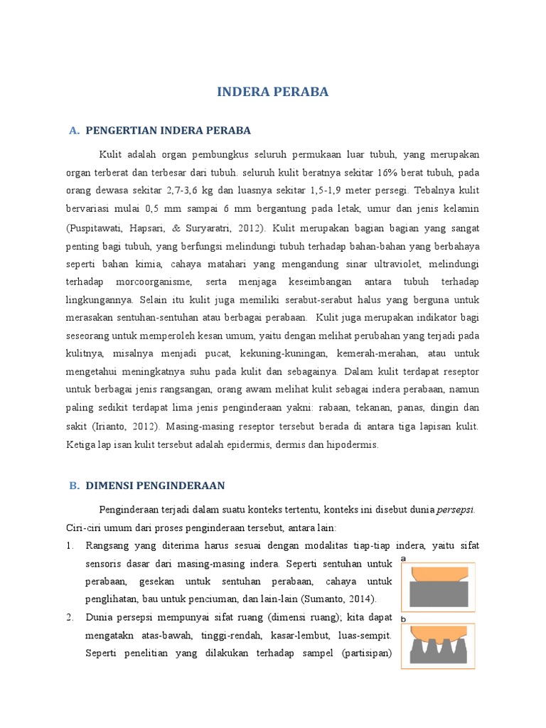 Biopsikologi Indera Peraba | PDF