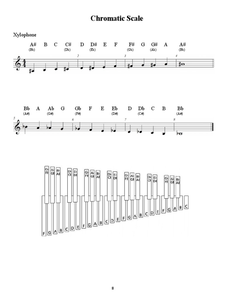 Chromatic Scale - Xylophone | PDF