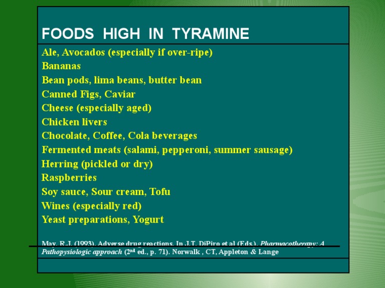 Tyramine Food | PDF | Cooking, Food & Wine | Wellness