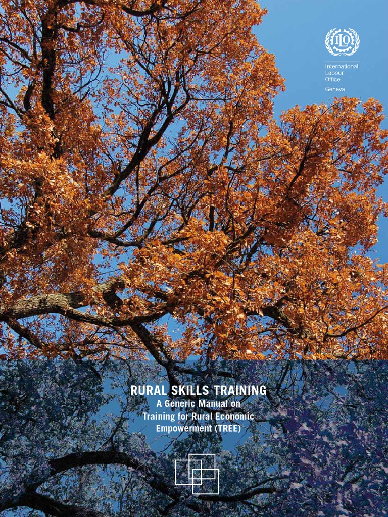 Rural Skills Training: A Generic Manual On Training For Rural Economic ...