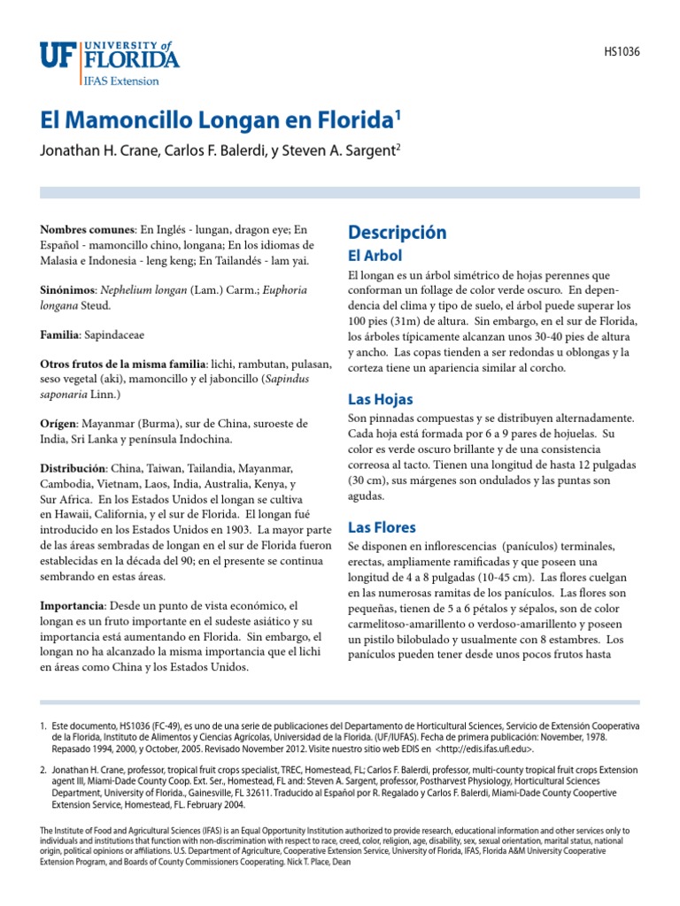 Cultivo del Mamoncillo Longan en Florida | PDF | Arboles | Fertilizante