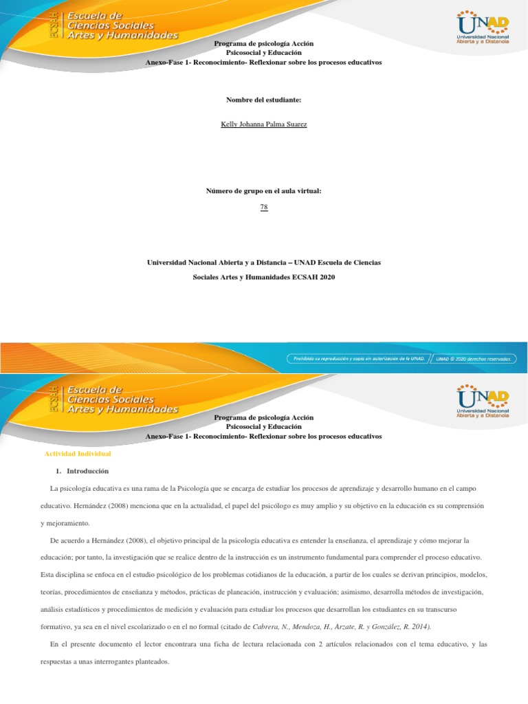 Fase 1 - Kelly Palma - Grupo78 | PDF | Motivación | Motivacional