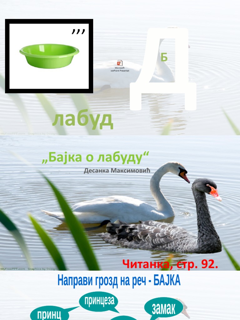 Bajka o Labudu | PDF