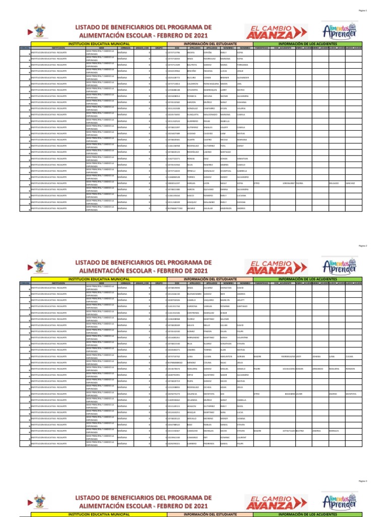 Pae Beneficiarios Febrero 2021 Comuna Seis | PDF