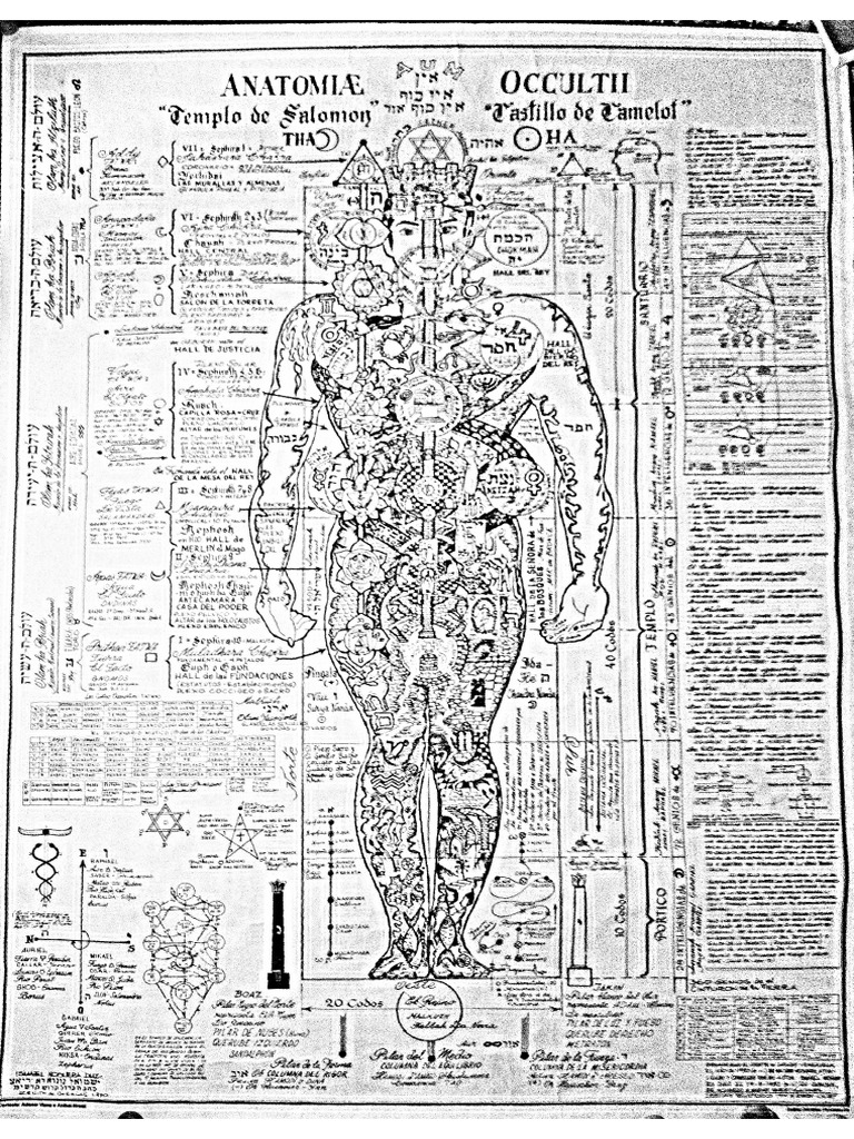 Anatomia Oculta | PDF