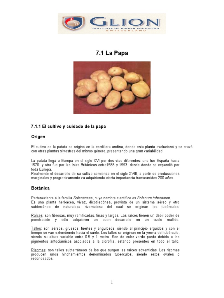 La Papa | PDF | Patata | Tallo de la planta