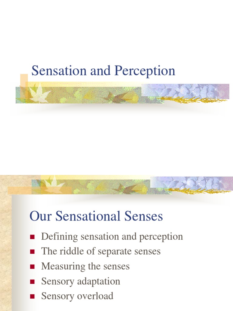 Sensation and Perception | PDF | Senses | Extrasensory Perception