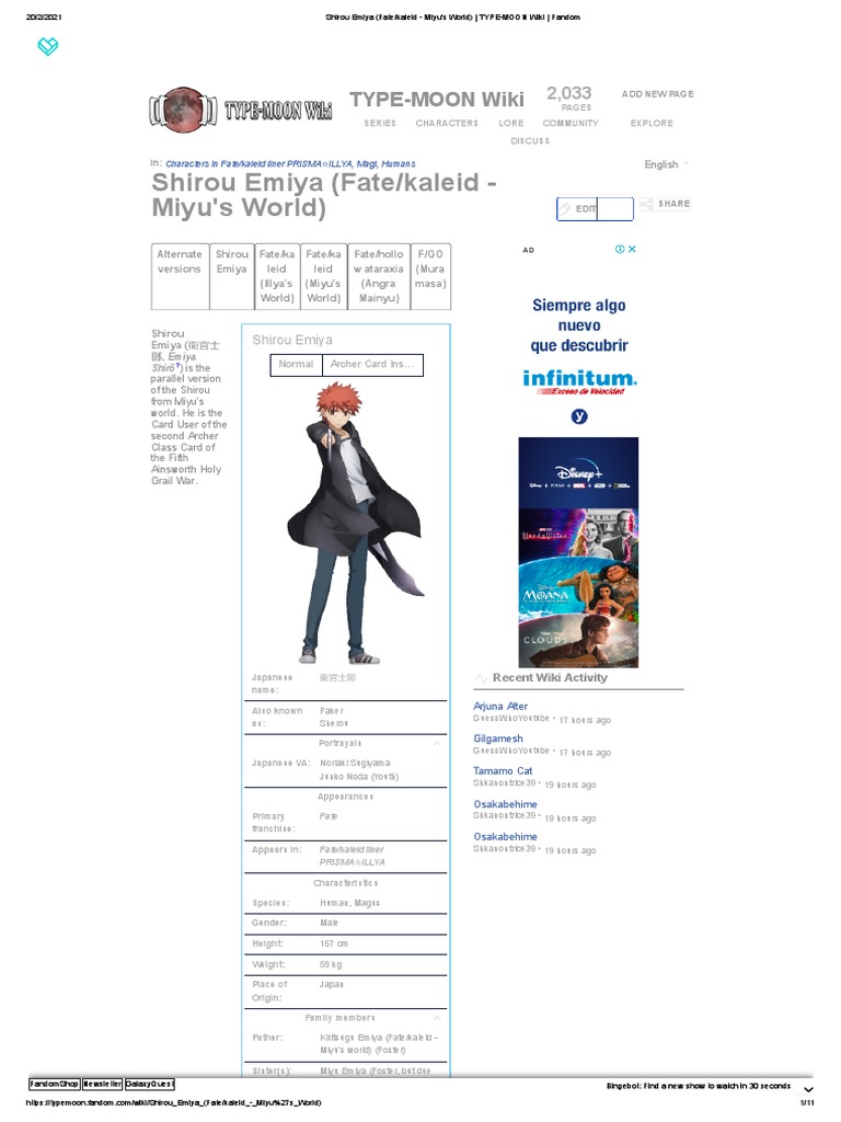 Parallel Shirou Emiya: Archer Card User from Miyu's World in Fate ...