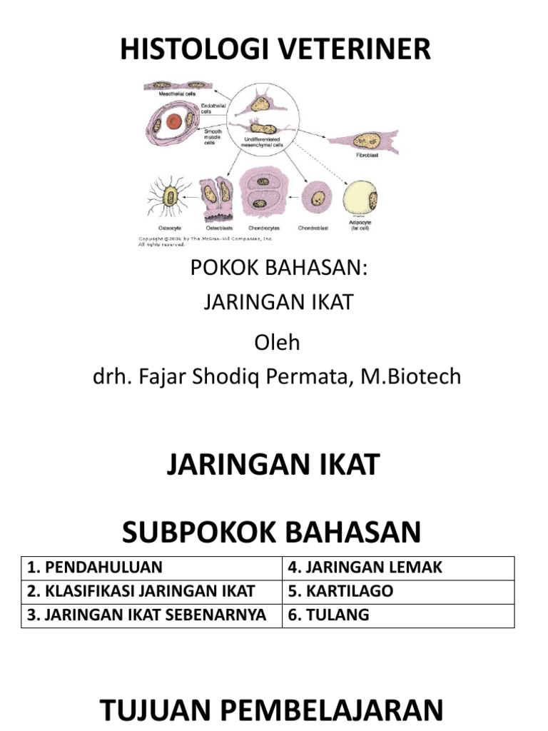 Jaringan Ikat Kuliah HistoVet | PDF