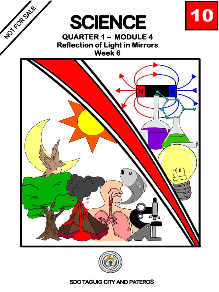 Quarter 1 - Module 4 Reflection of Light in Mirrors Week 6 | PDF ...