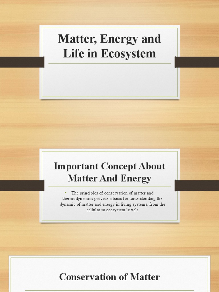 Matter and Energy in Ecosystems | PDF | Food Web | Ecosystem