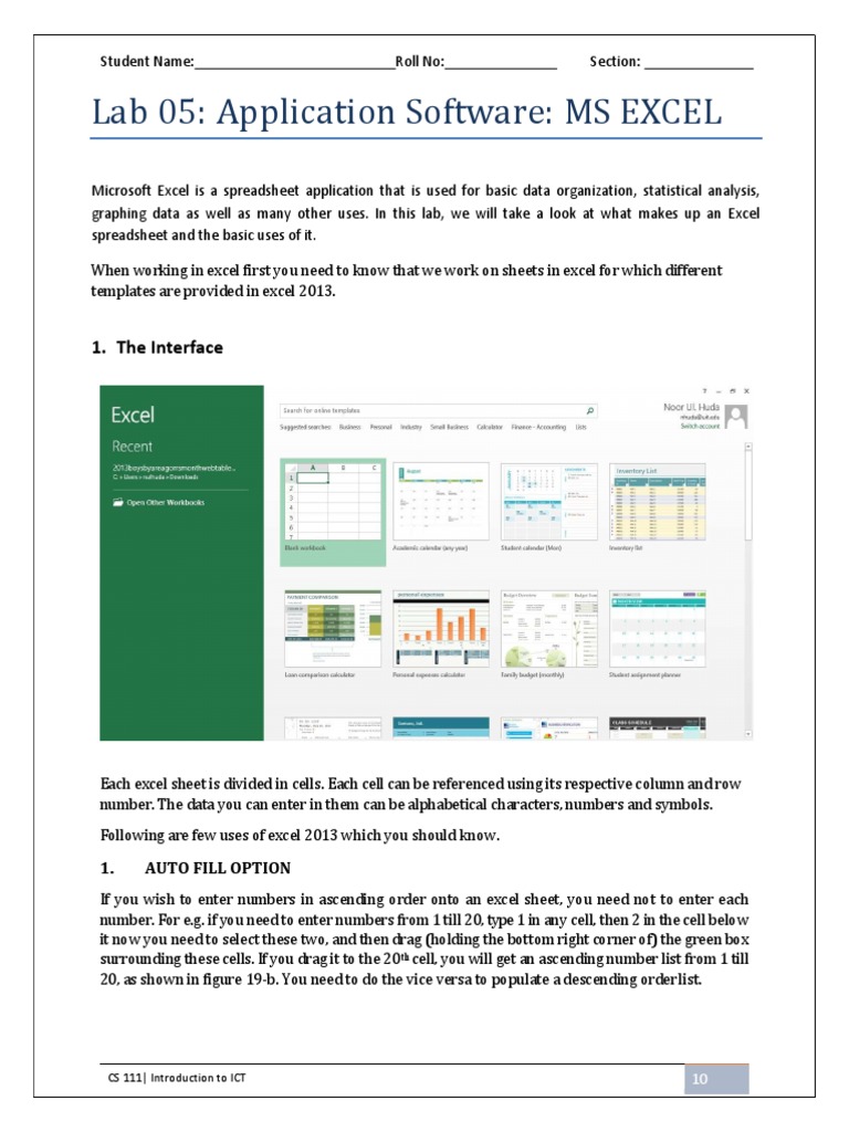 Lab 05: Application Software: MS EXCEL: 1. The Interface | PDF ...