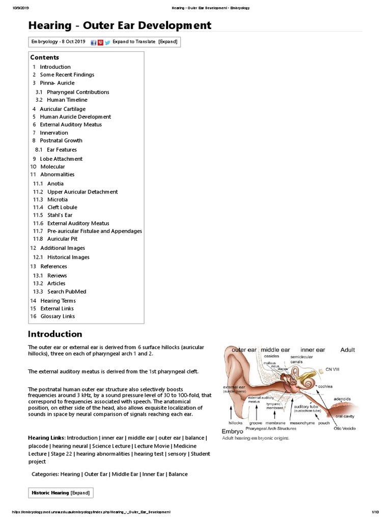 23 Hearing - Outer Ear Development - Embryology | PDF | Ear | Hearing