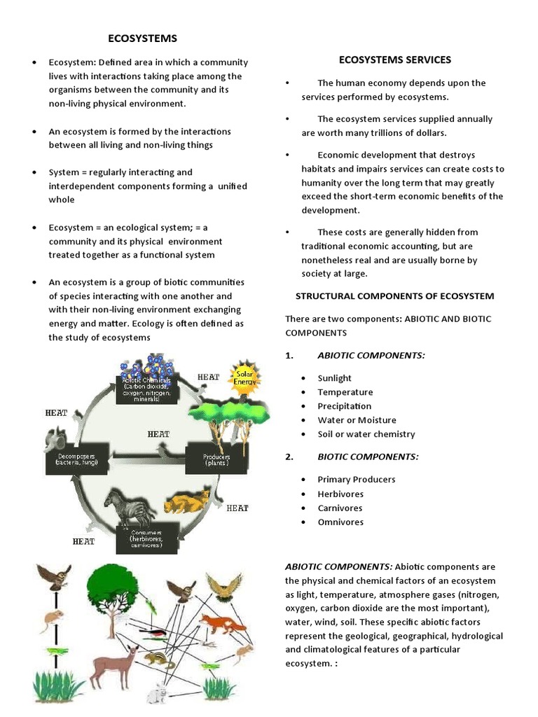 Ecosystems Services | PDF | Food Web | Ecosystem