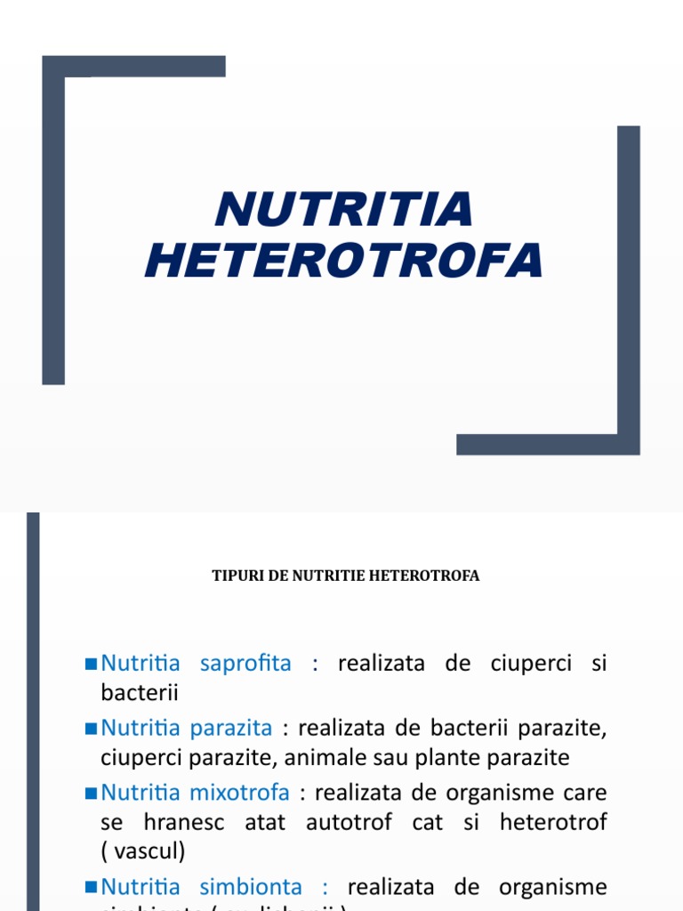 Nutritia Heterotrofa | PDF