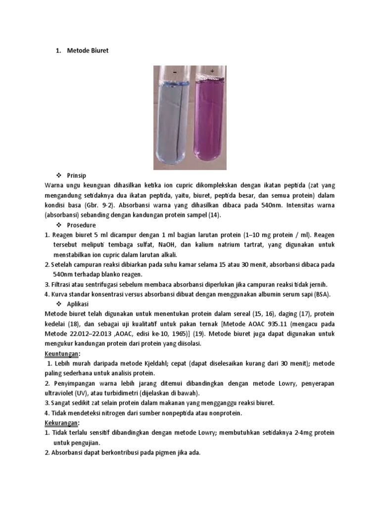 Metode Uji Protein: Biuret dan Lowry | PDF