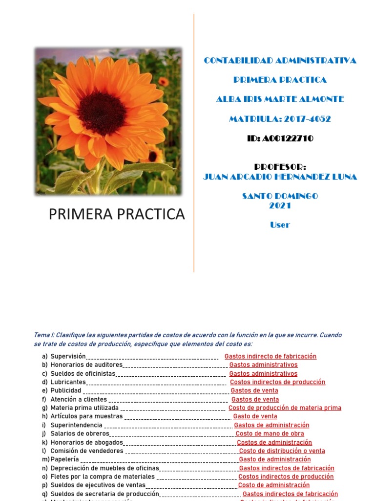 Marte Almonte-Alba Iris - Practica 1 | PDF | Costo | Empresas