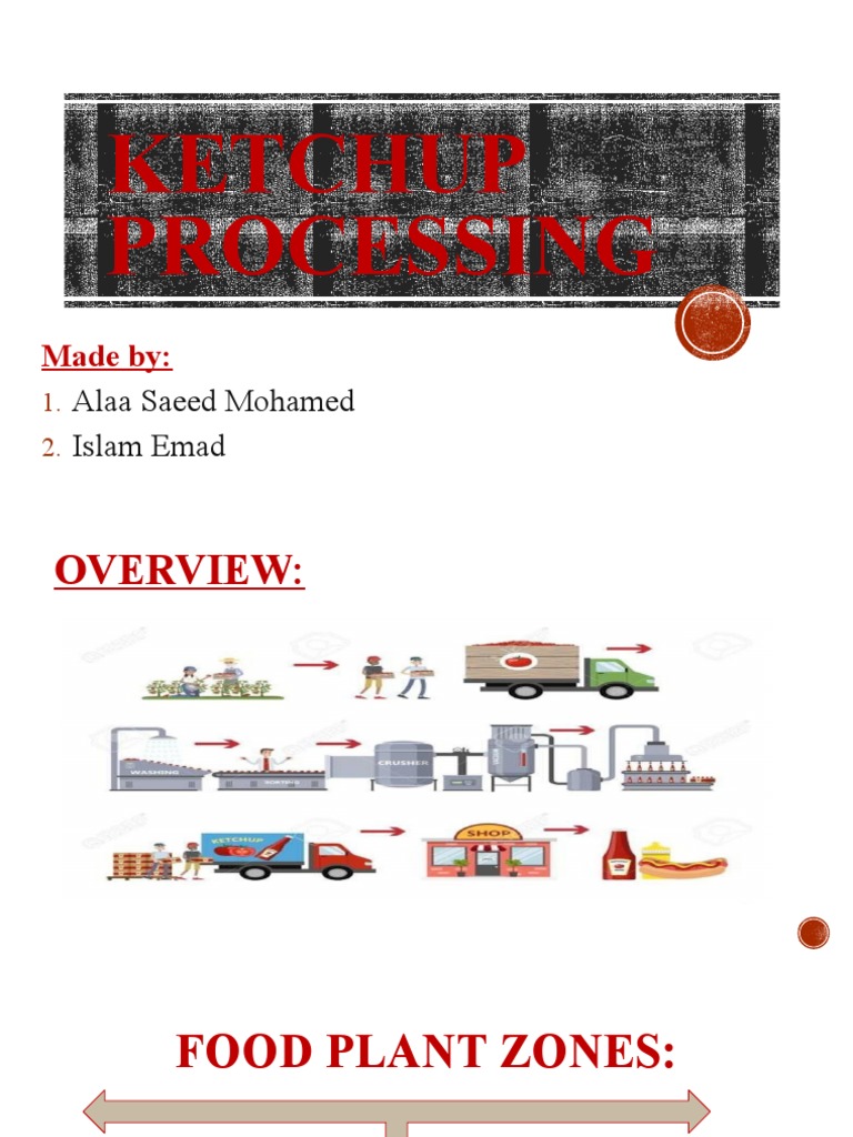 Ketchup Processing: Alaa Saeed Mohamed Islam Emad | PDF | Technology ...