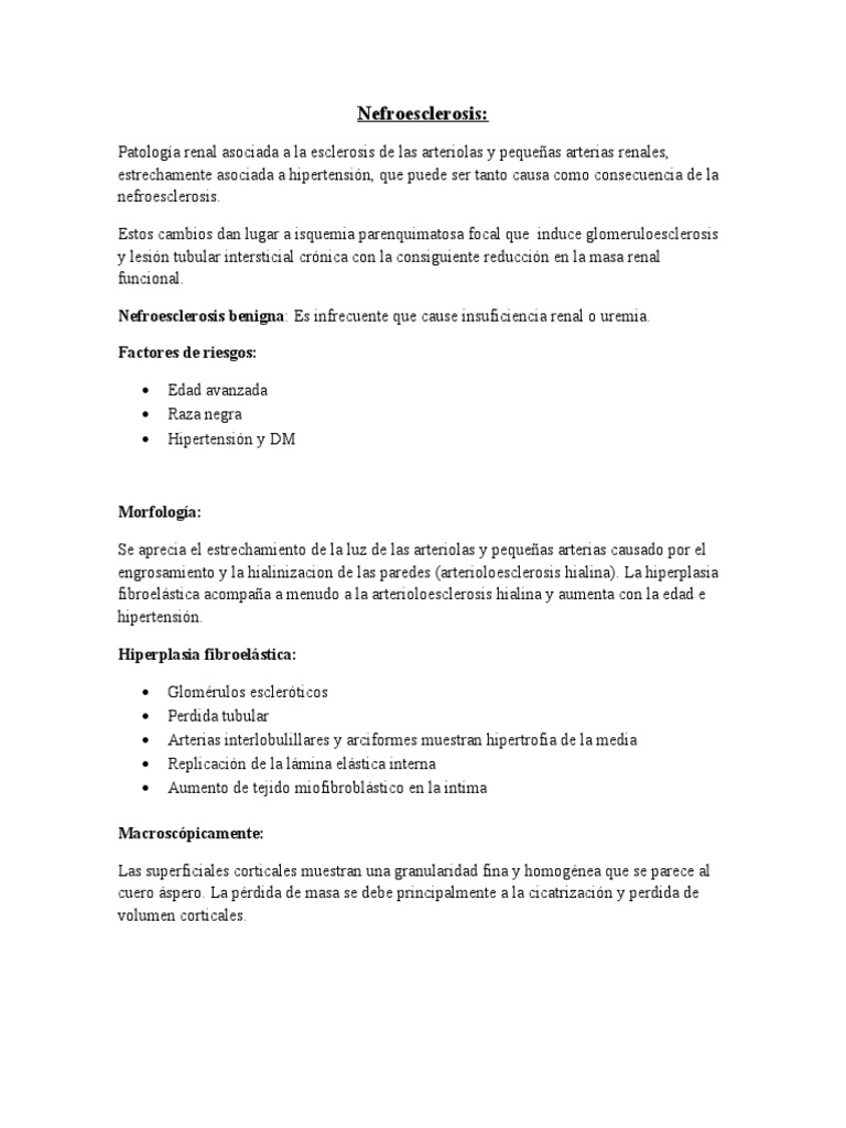 Nefroesclerosis: Tipos y Morfología Renal | PDF | Riñón | Hipertensión