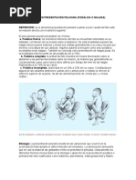 Parto Podálico: Procedimientos y Maniobras | PDF | Parto | Pelvis