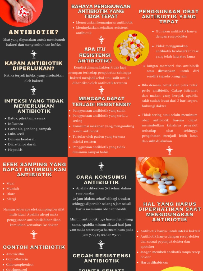 Panduan Bijak Penggunaan Antibiotik | PDF